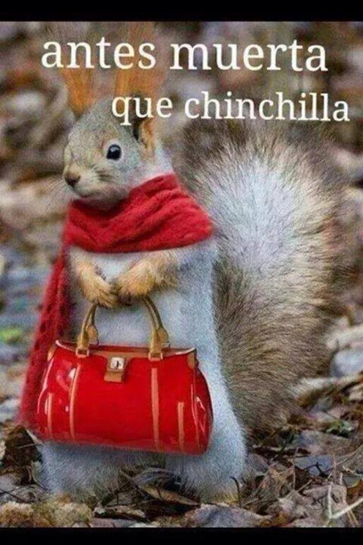 Las Fotos Más Graciosas Y Divertidas Del Verano